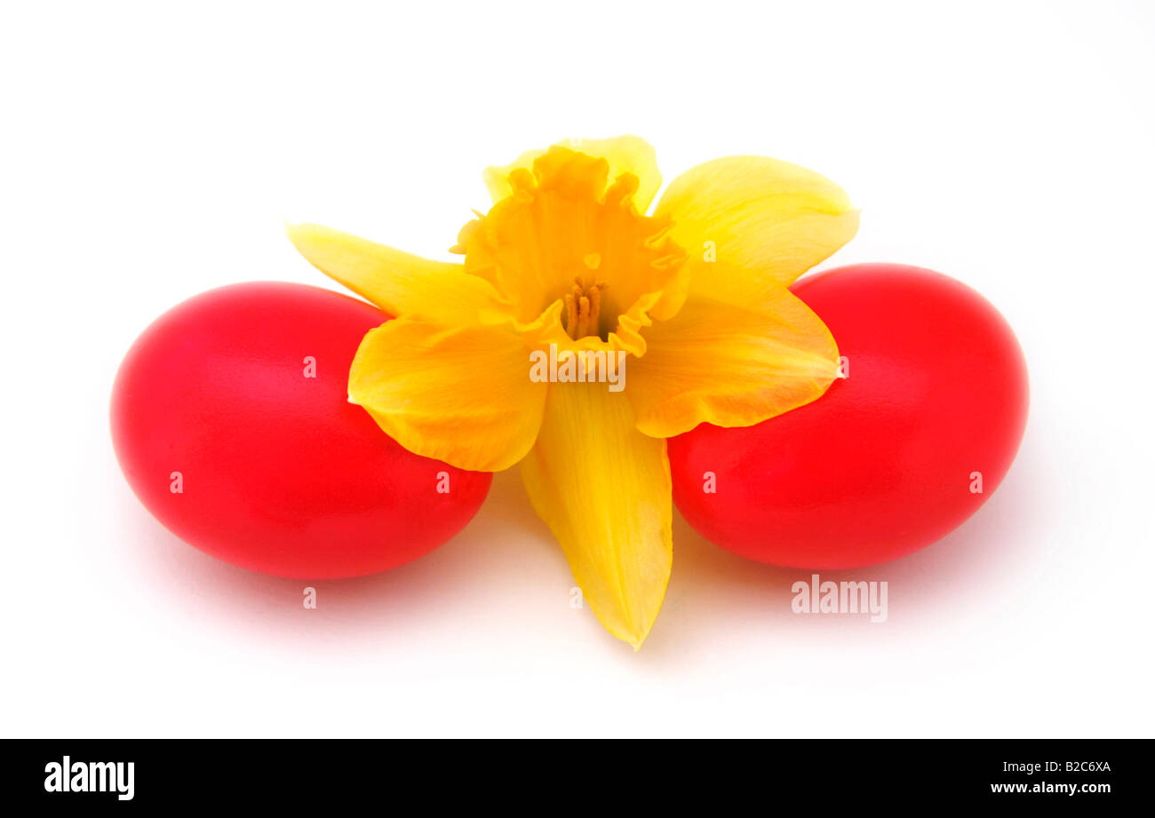 Traditional easter eggs blossom Cut Out Stock Images & Pictures - Alamy