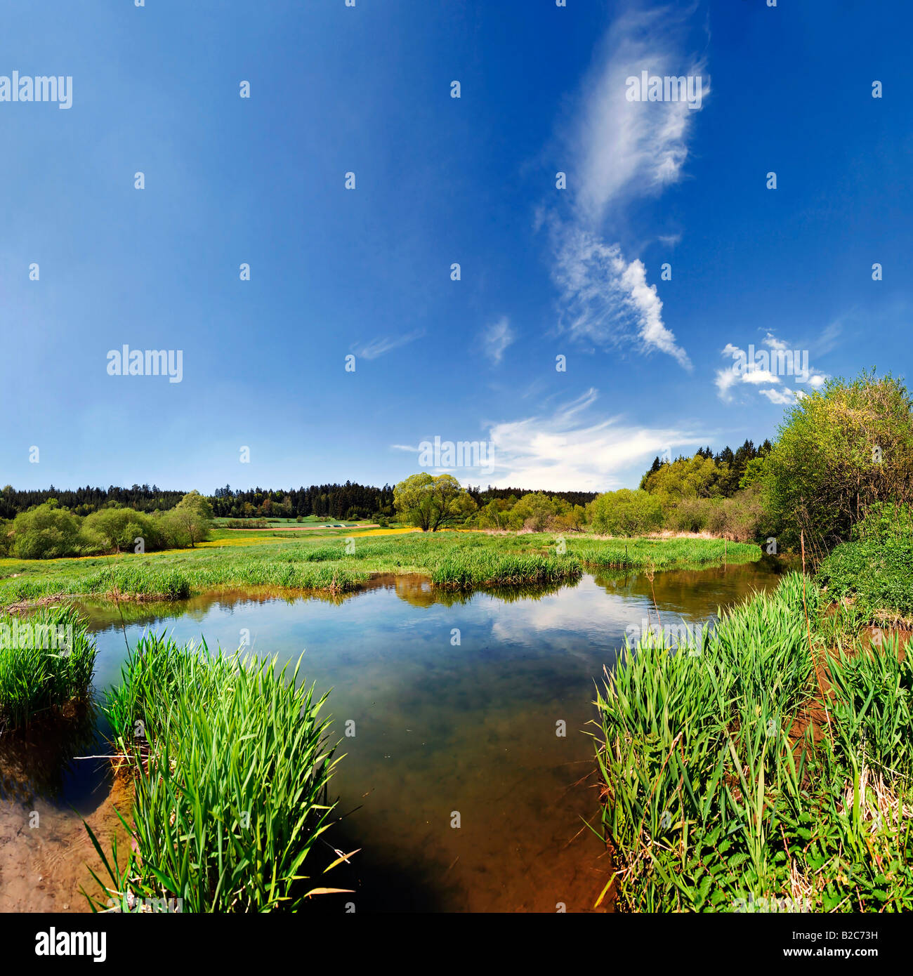 The Anlauter River, blocked by a beaver dam near Emsing in the ...