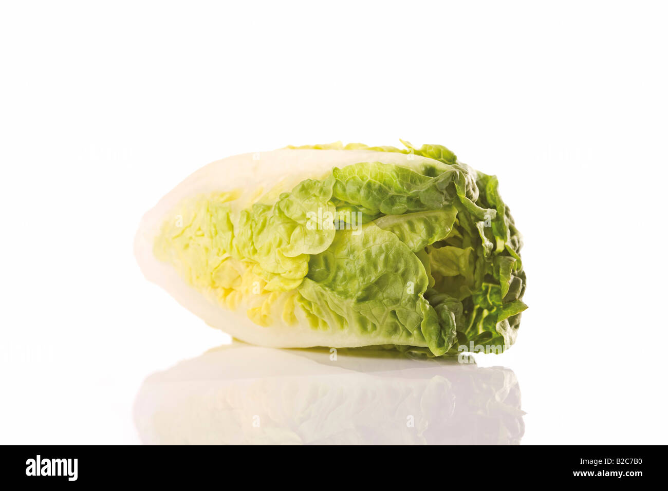 Romaine lettuce photos hi-res stock photography and images - Alamy