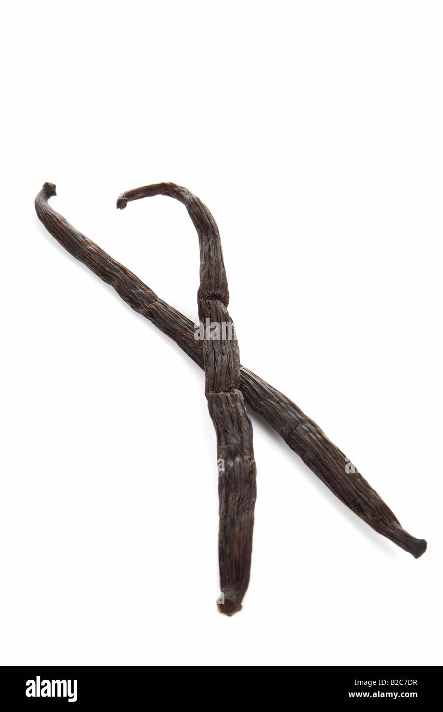 Vanilla pods plant hi-res stock photography and images - Alamy