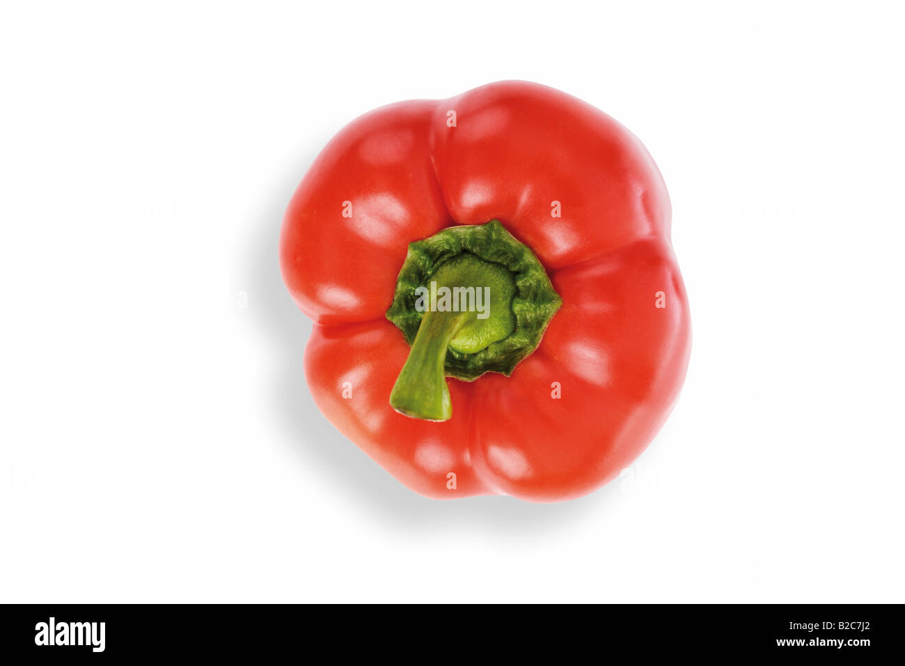 Capsicum solanaceae Cut Out Stock Images & Pictures - Alamy