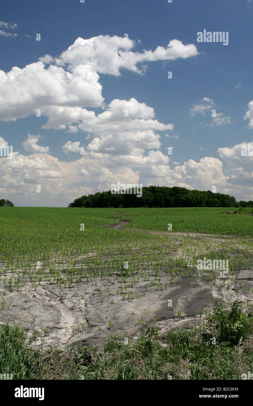 Heavy soil erosion hi-res stock photography and images - Alamy