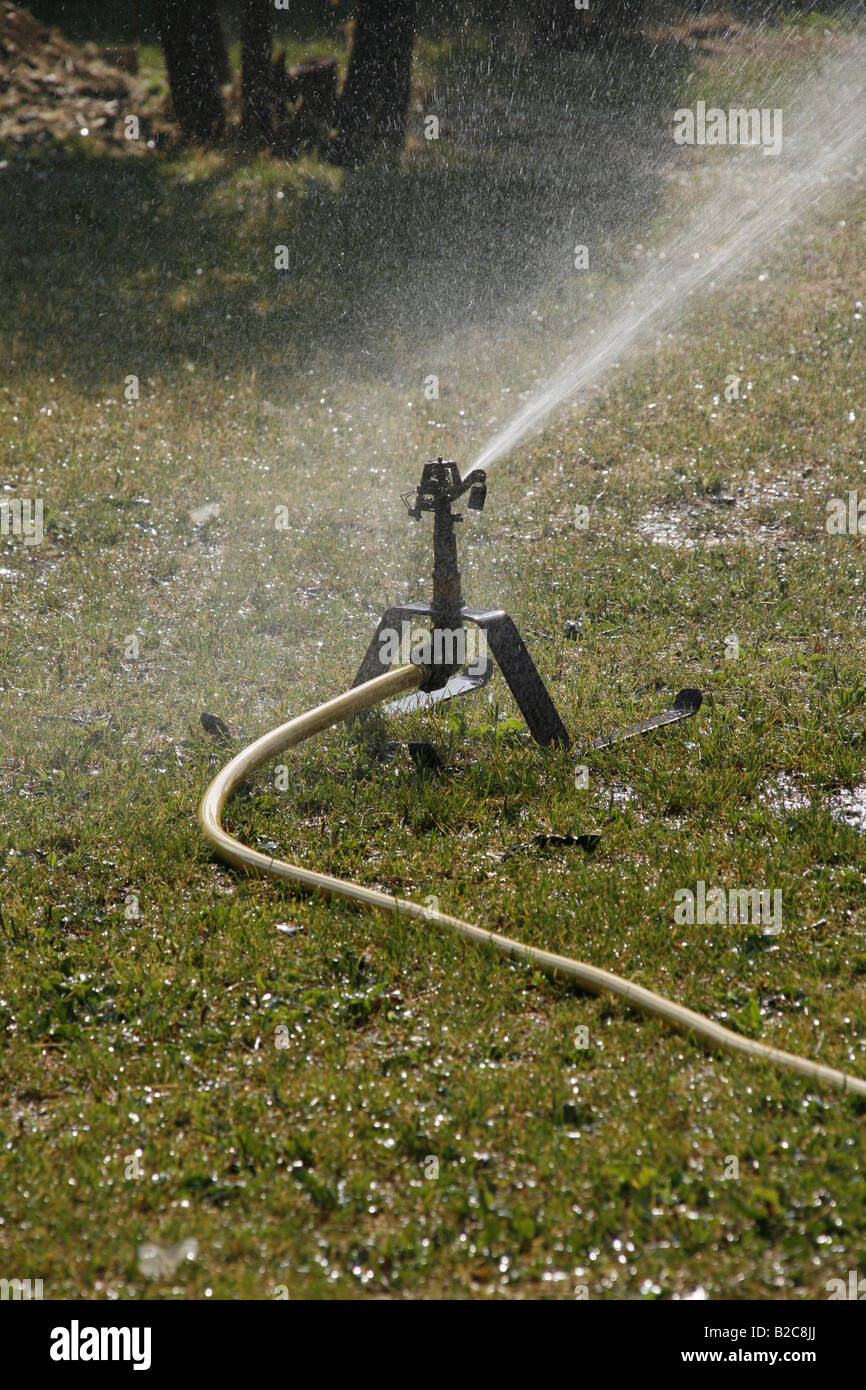 one sprinkler spraying water on lawn Stock Photo - Alamy