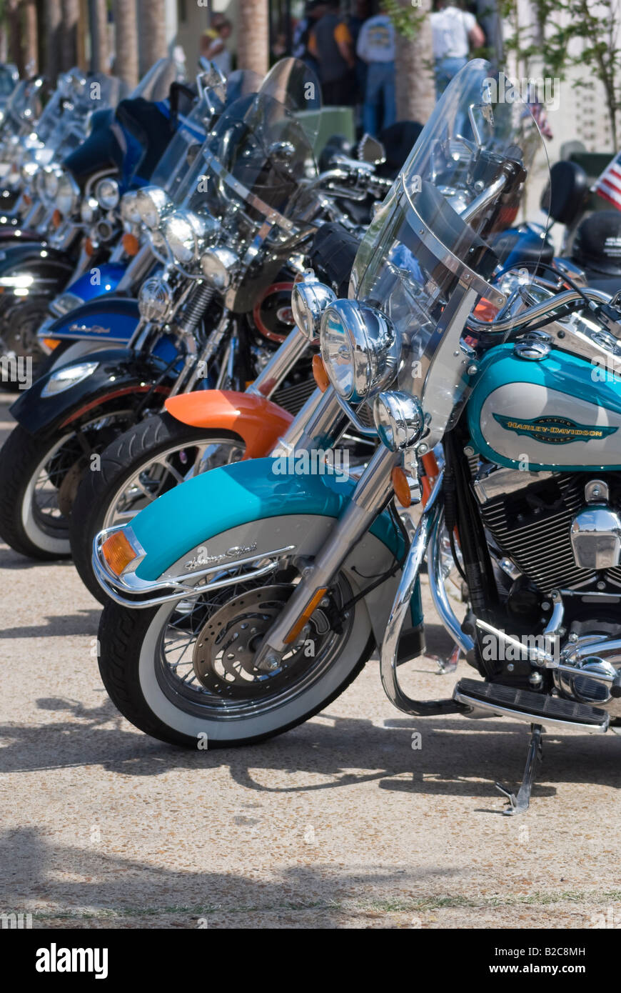 line up of Harley Davidson motorcycles along street in Apalachicola ...