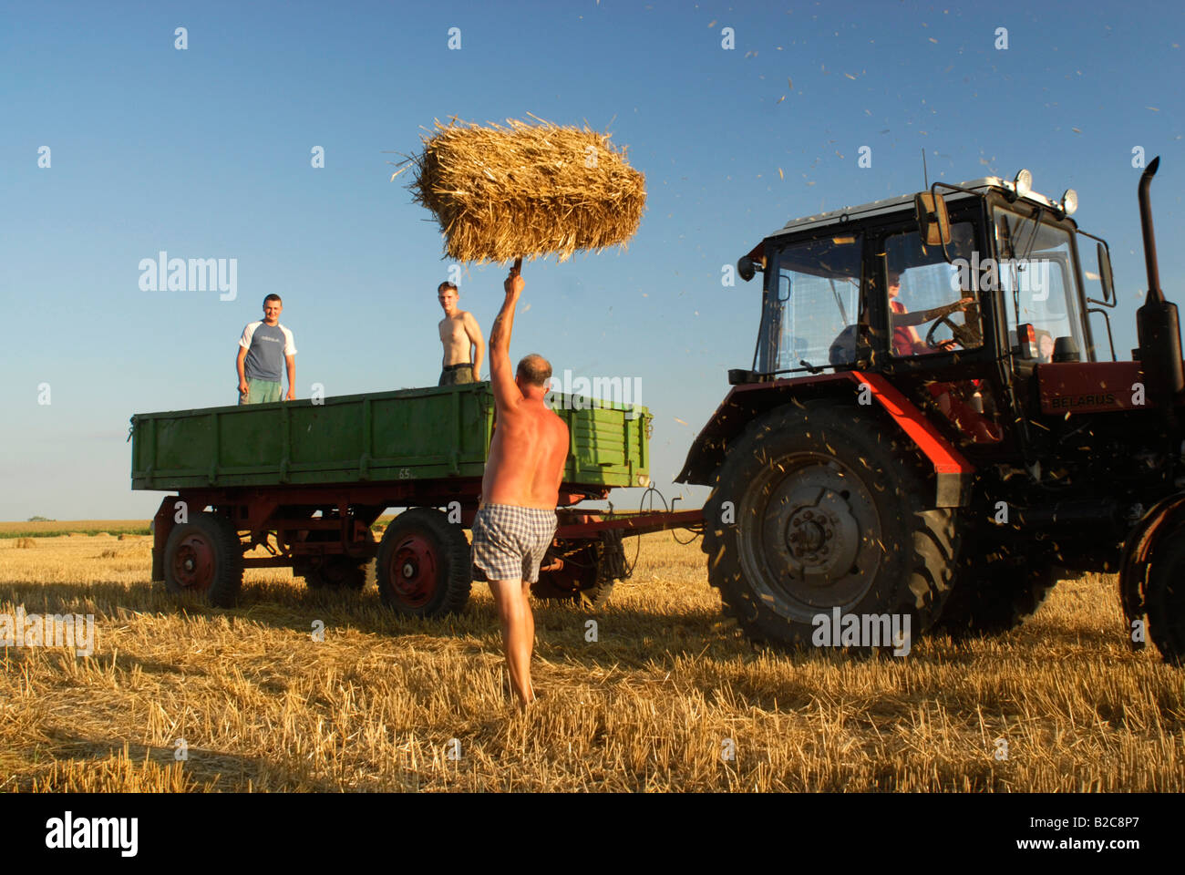 Farmer Lifting Bale Straw Tractor High Resolution Stock Photography and ...