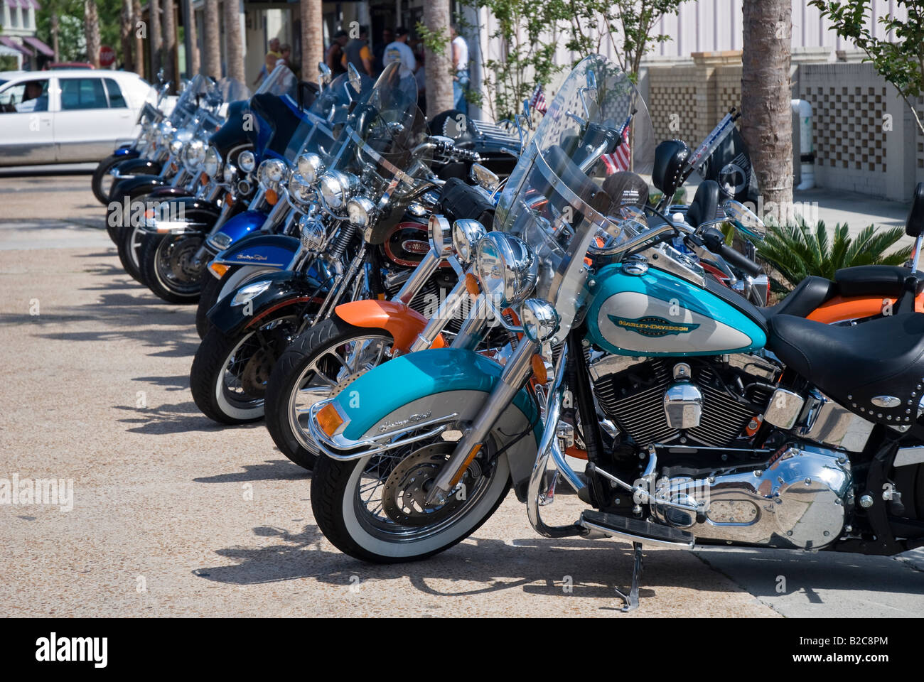 line up of Harley Davidson motorcycles along street in Apalachicola ...