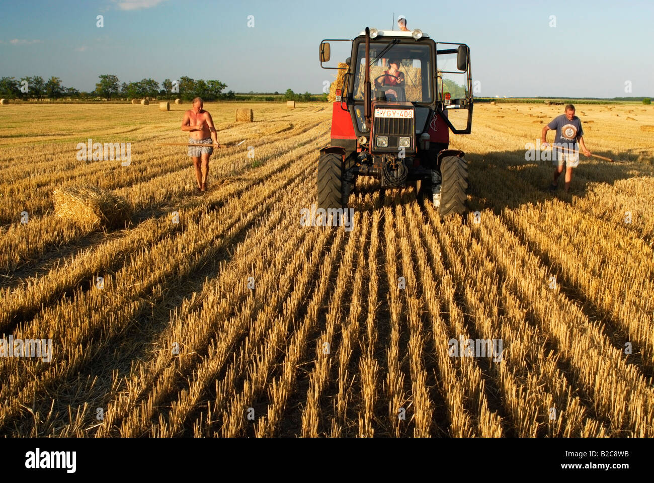 Farmer lifting bale straw tractor hi-res stock photography and images ...