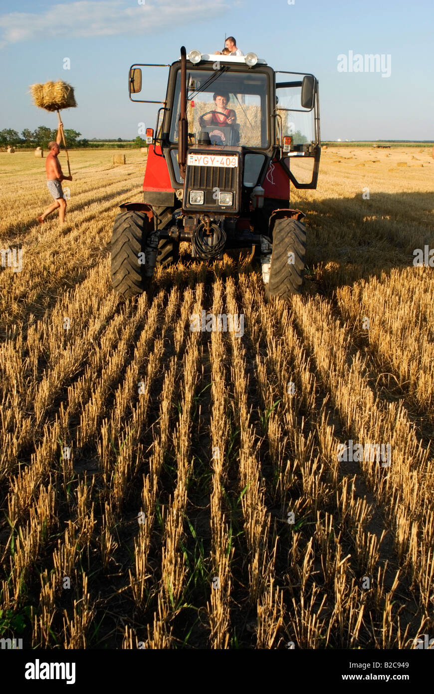 Farmer Lifting Bale Straw Tractor High Resolution Stock Photography and ...