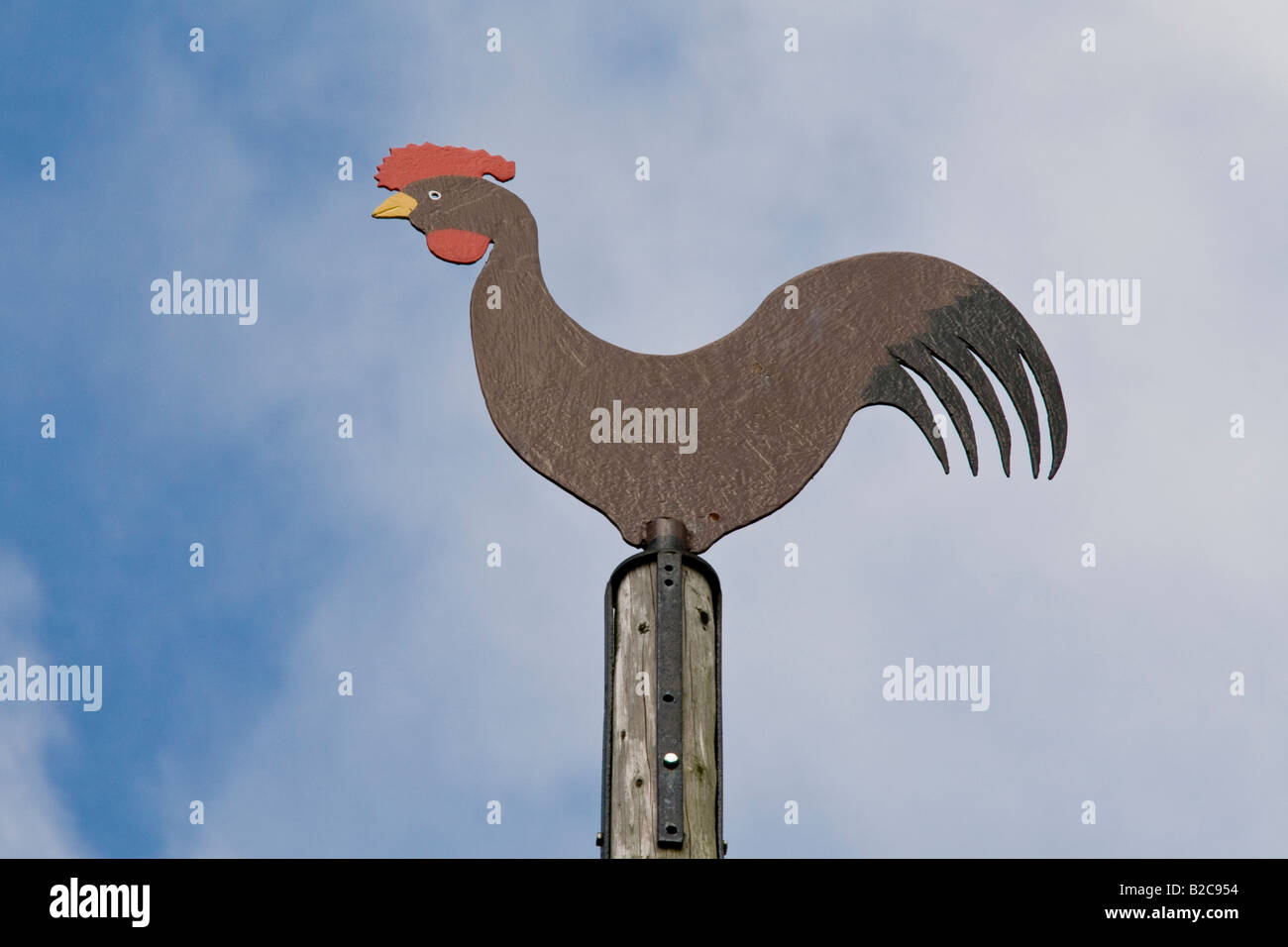 Cockerell hi-res stock photography and images - Alamy