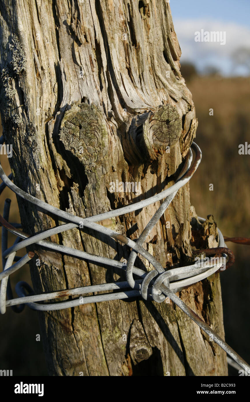 rotten wooden pole on fence outdoors in country Stock Photo - Alamy
