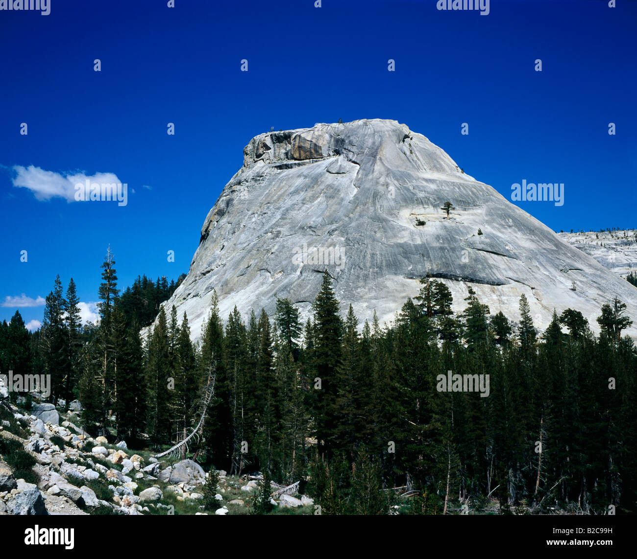 Capitan america hi-res stock photography and images - Alamy