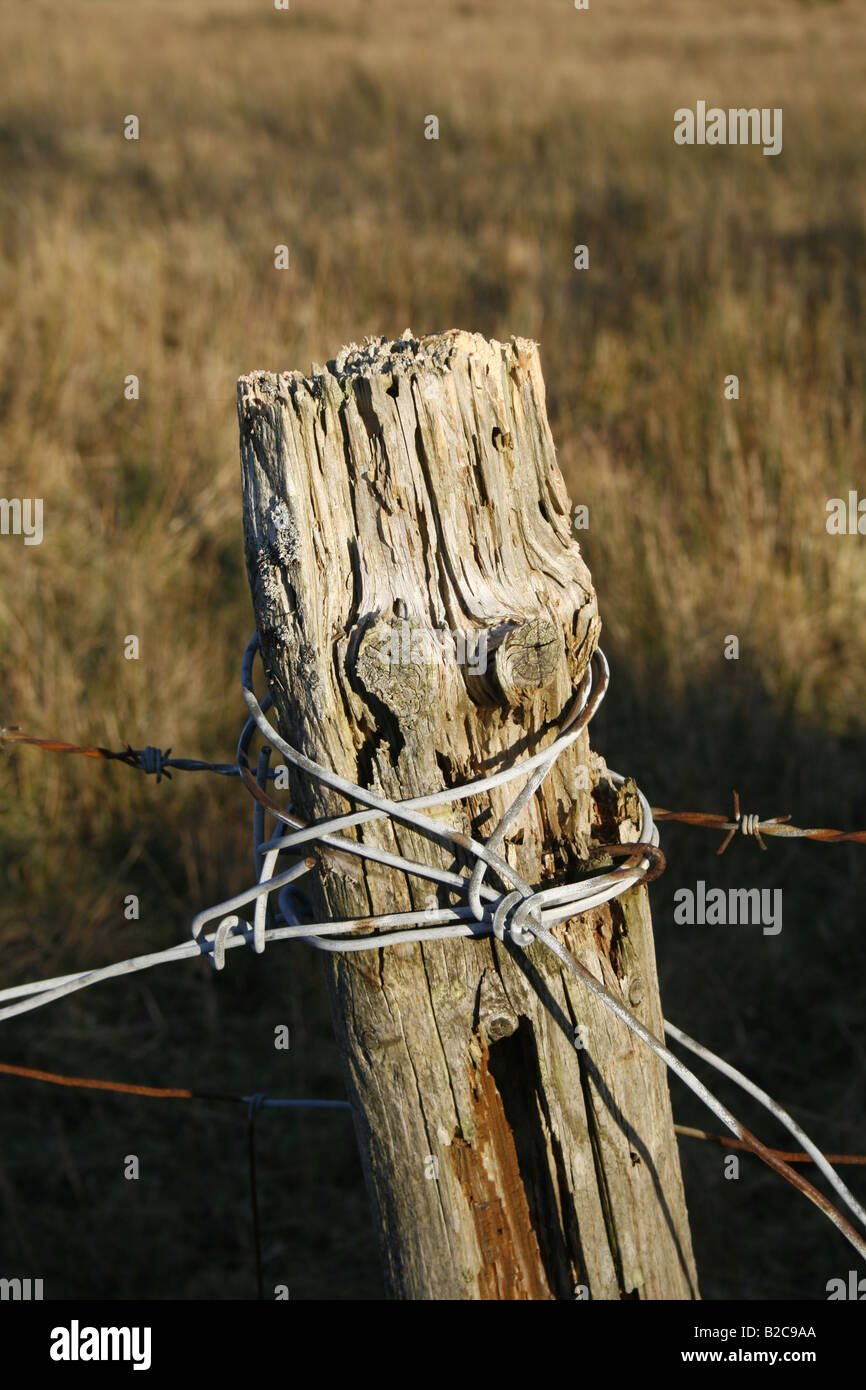 rotten wooden pole on fence outdoors in country Stock Photo - Alamy