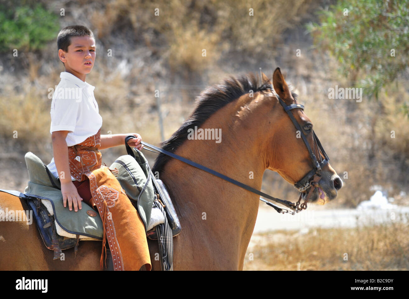 Boy riding chestnut horse in countryside Stock Photo - Alamy