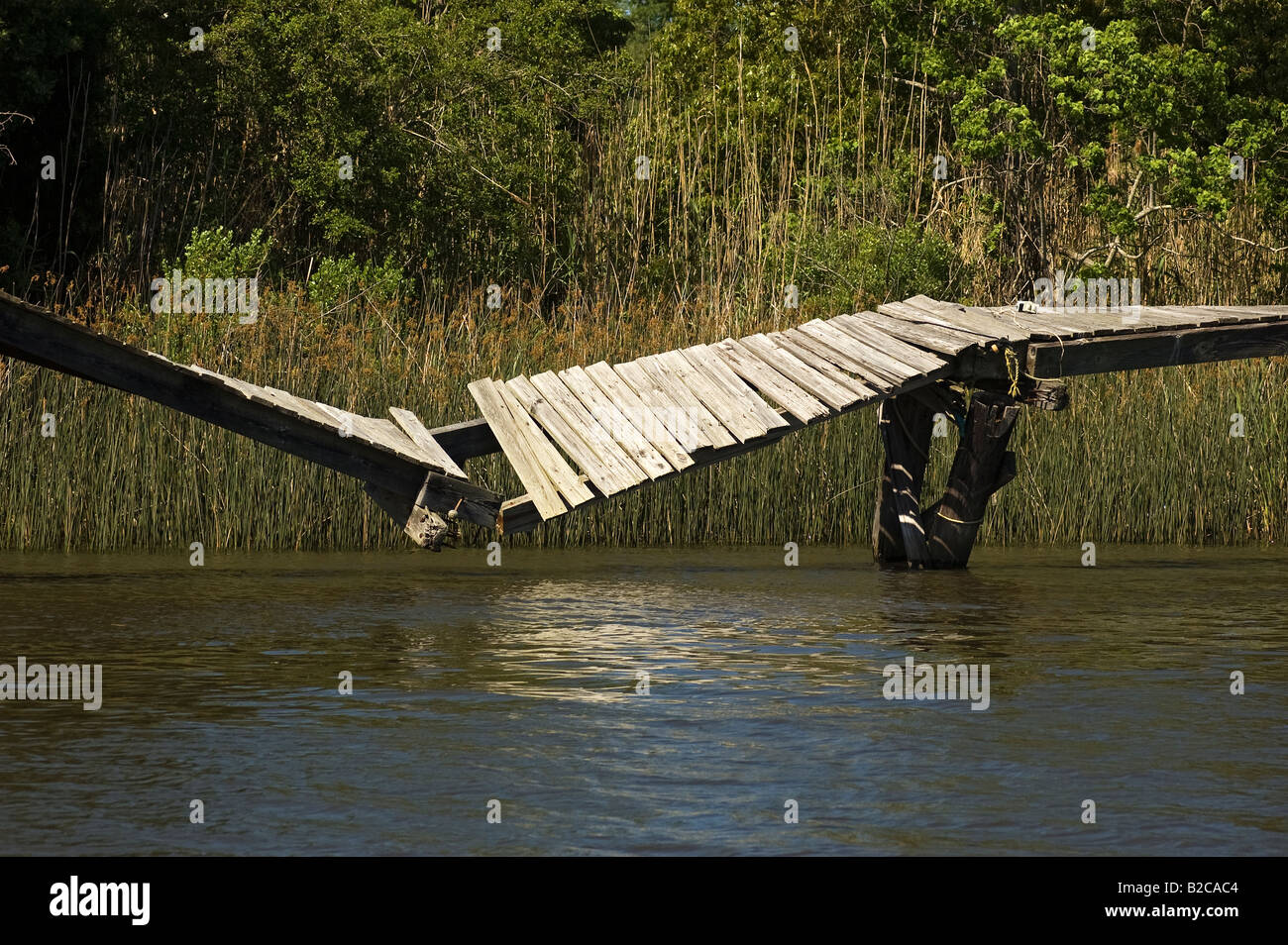 broken down dock along Scipio Creek at Apalachicola Florida Stock Photo ...