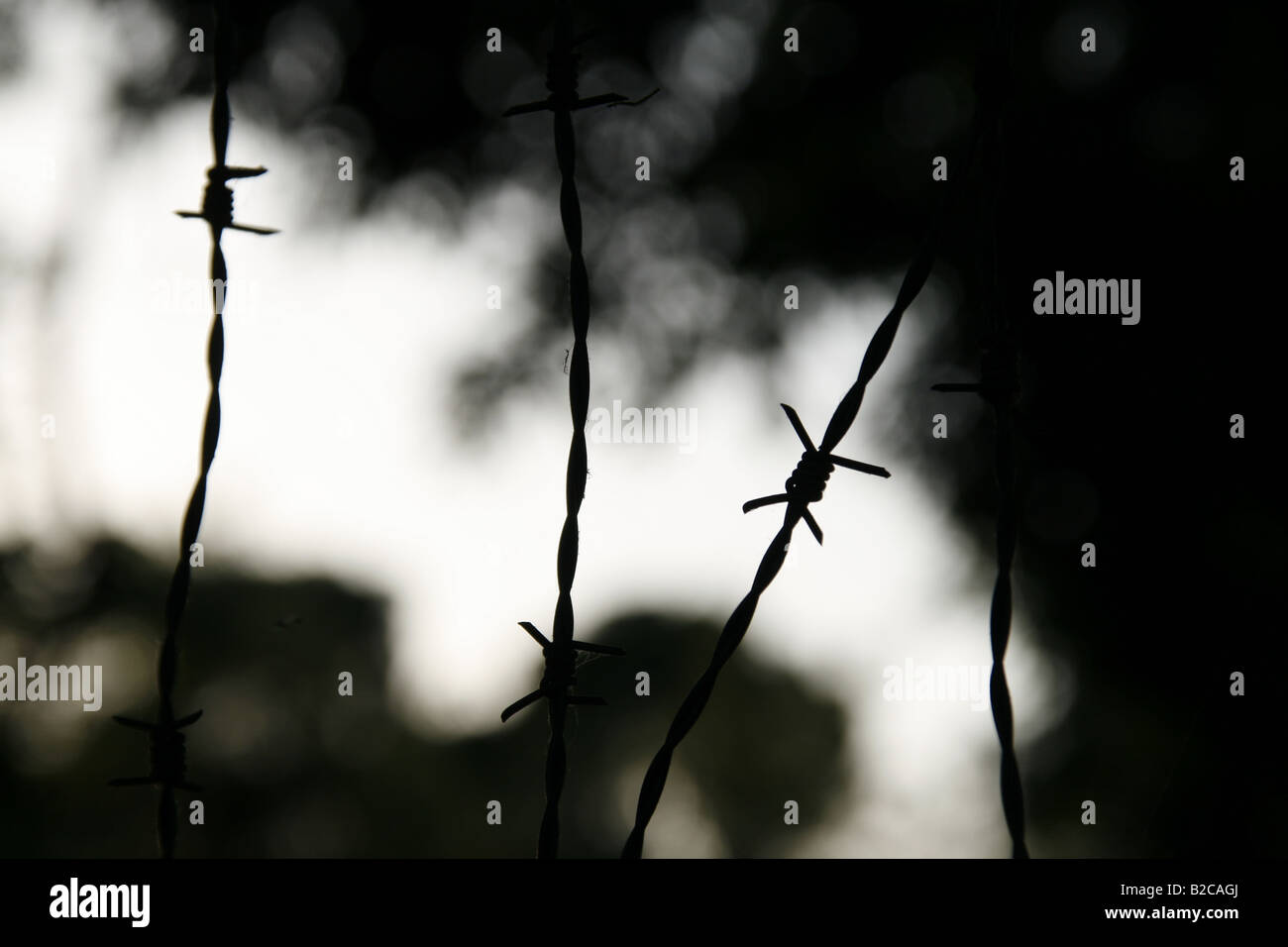 close up of barbed wire fence in country at night Stock Photo - Alamy