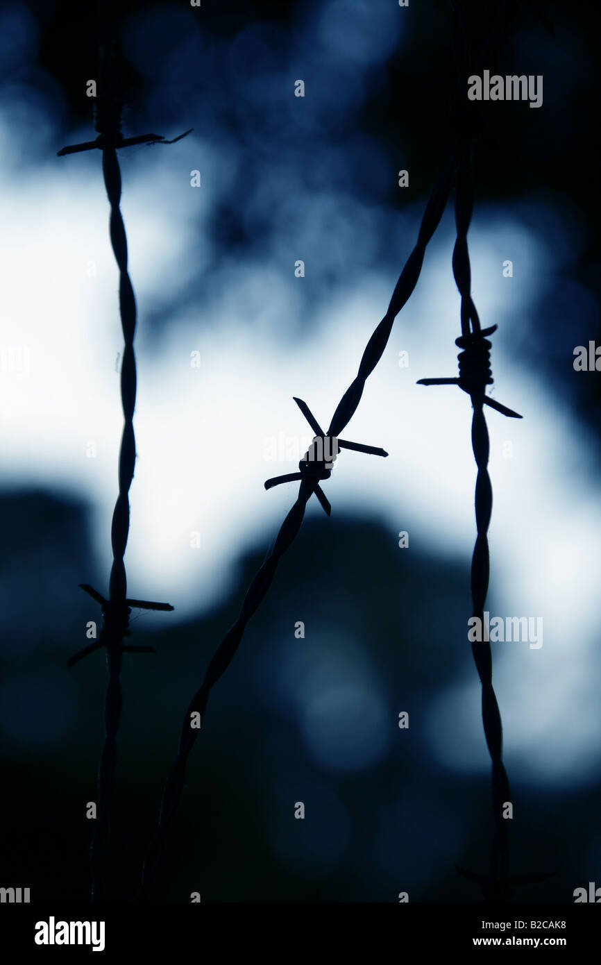 close up of barbed wire fence in country at night Stock Photo - Alamy