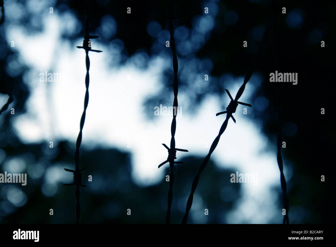 Gate barbed wire night hi-res stock photography and images - Alamy