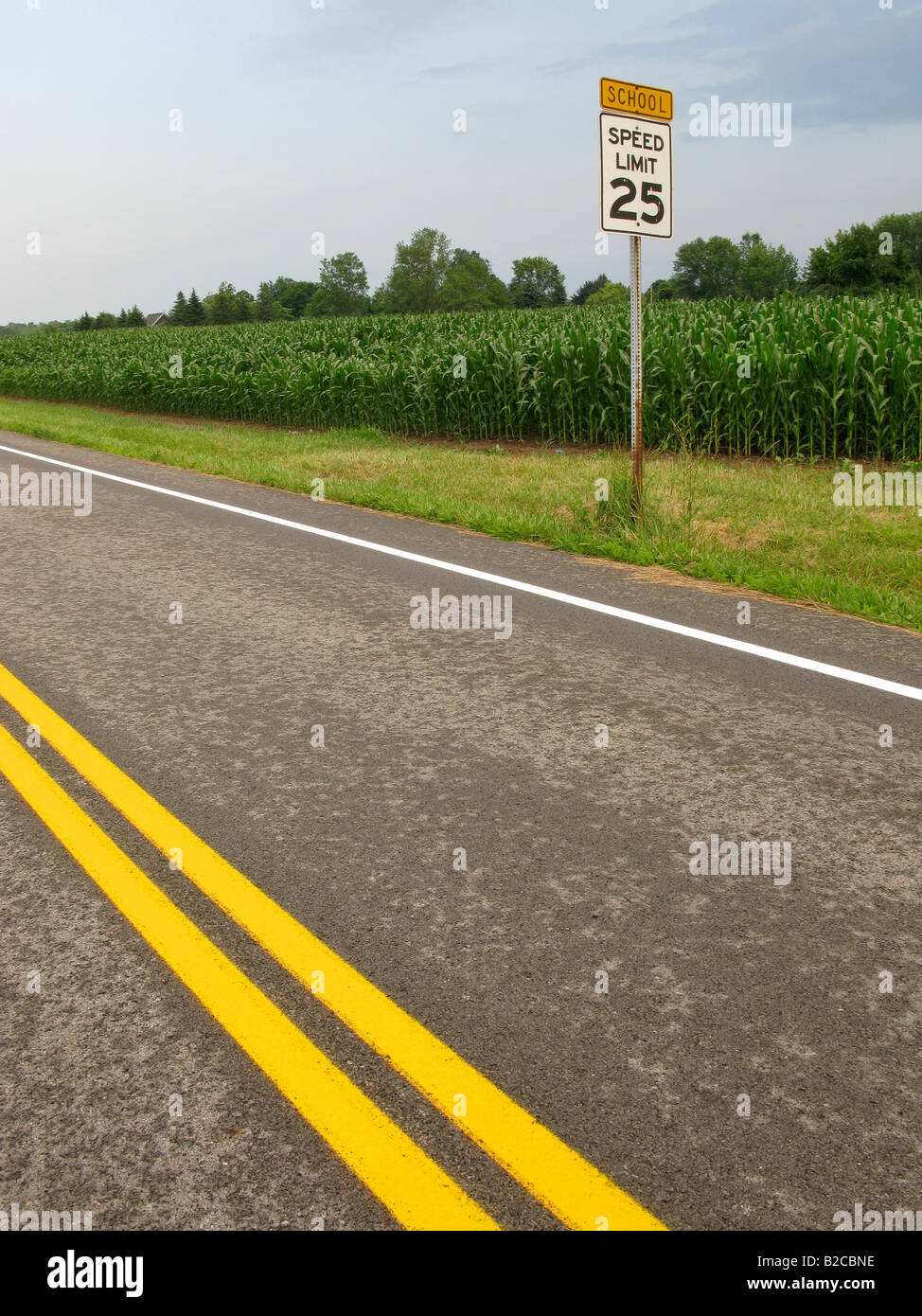 Rural road with speed limit sign Stock Photo - Alamy