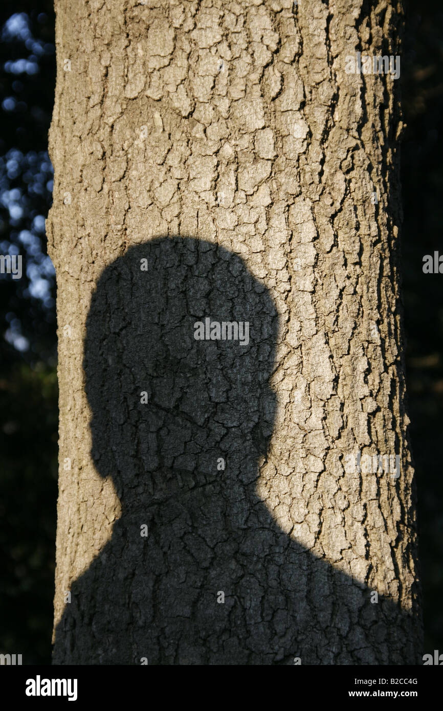 close up man's shadow on tree bark Stock Photo - Alamy