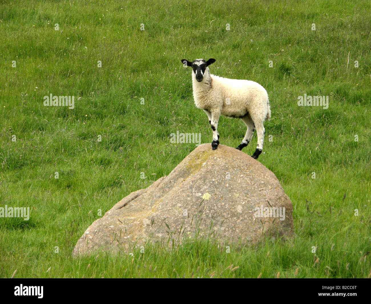 Rock toe hi-res stock photography and images - Alamy
