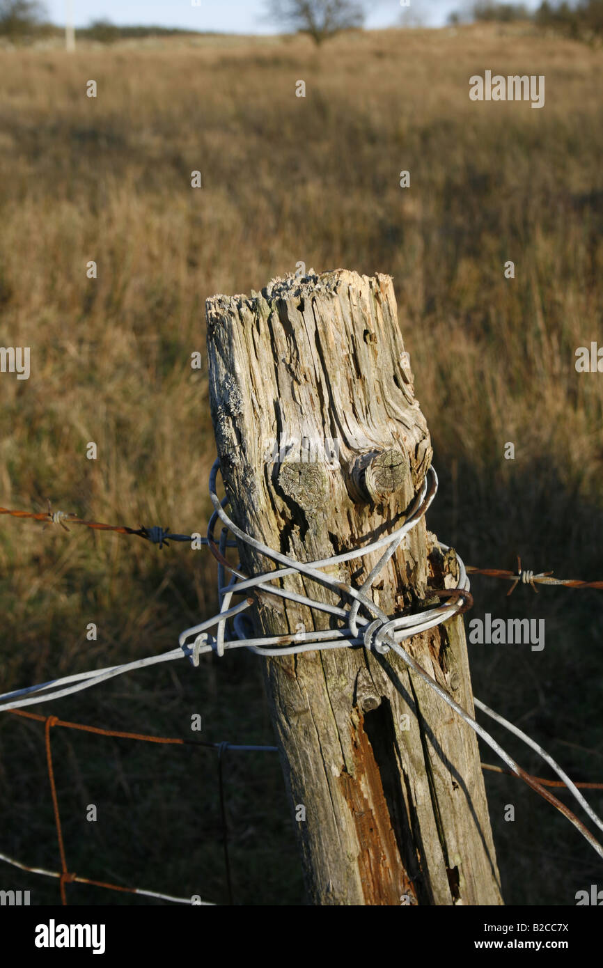 rotten wooden pole on fence outdoors in country Stock Photo - Alamy