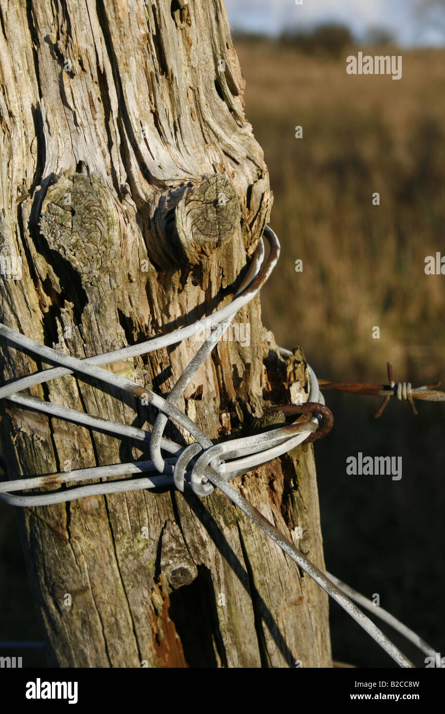 rotten wooden pole on fence outdoors in country Stock Photo - Alamy