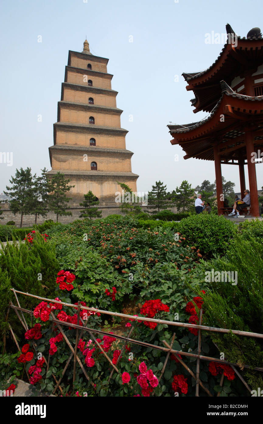 Big wild goose pagoda hi-res stock photography and images - Alamy