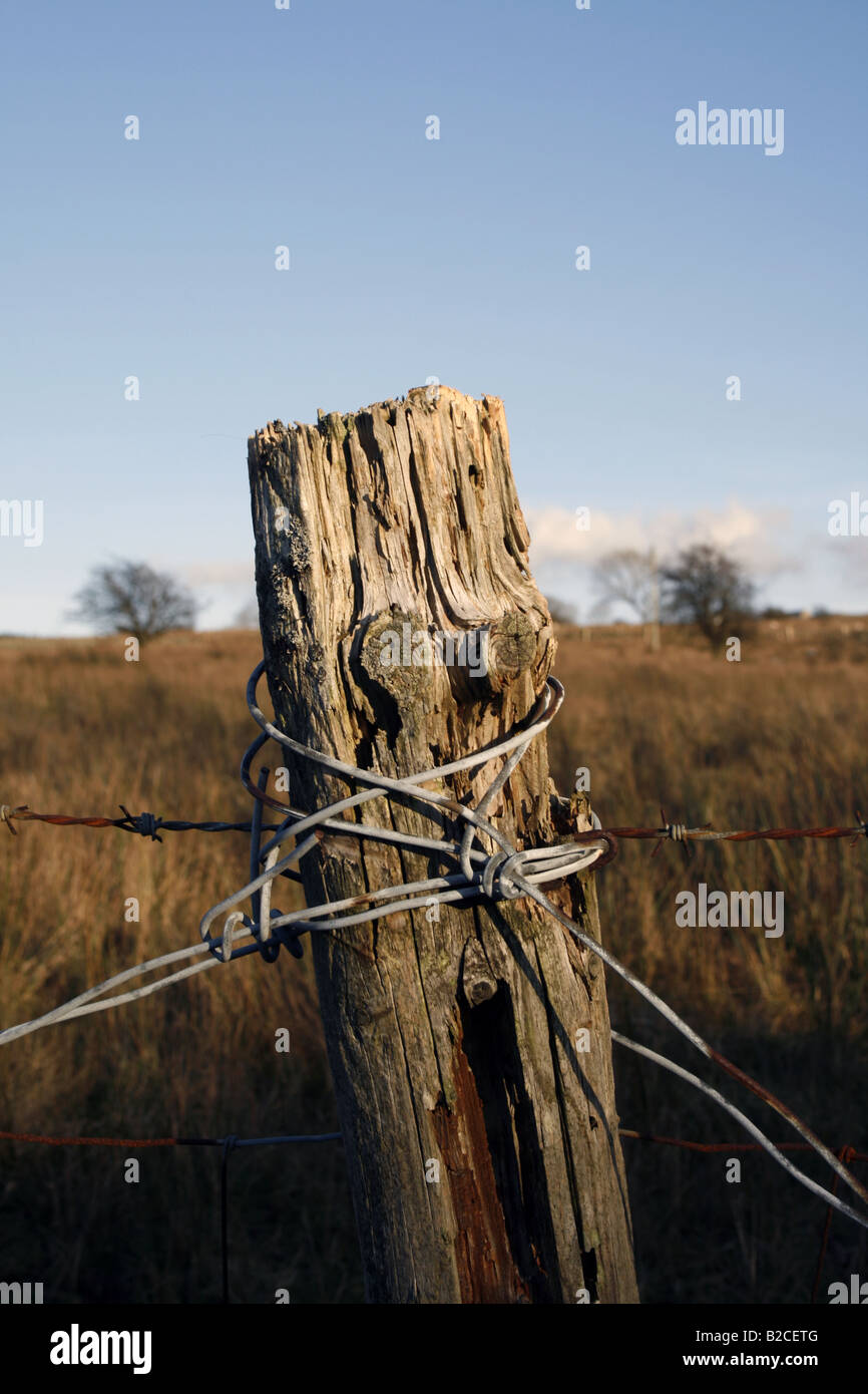rotten wooden pole on fence outdoors in country Stock Photo - Alamy