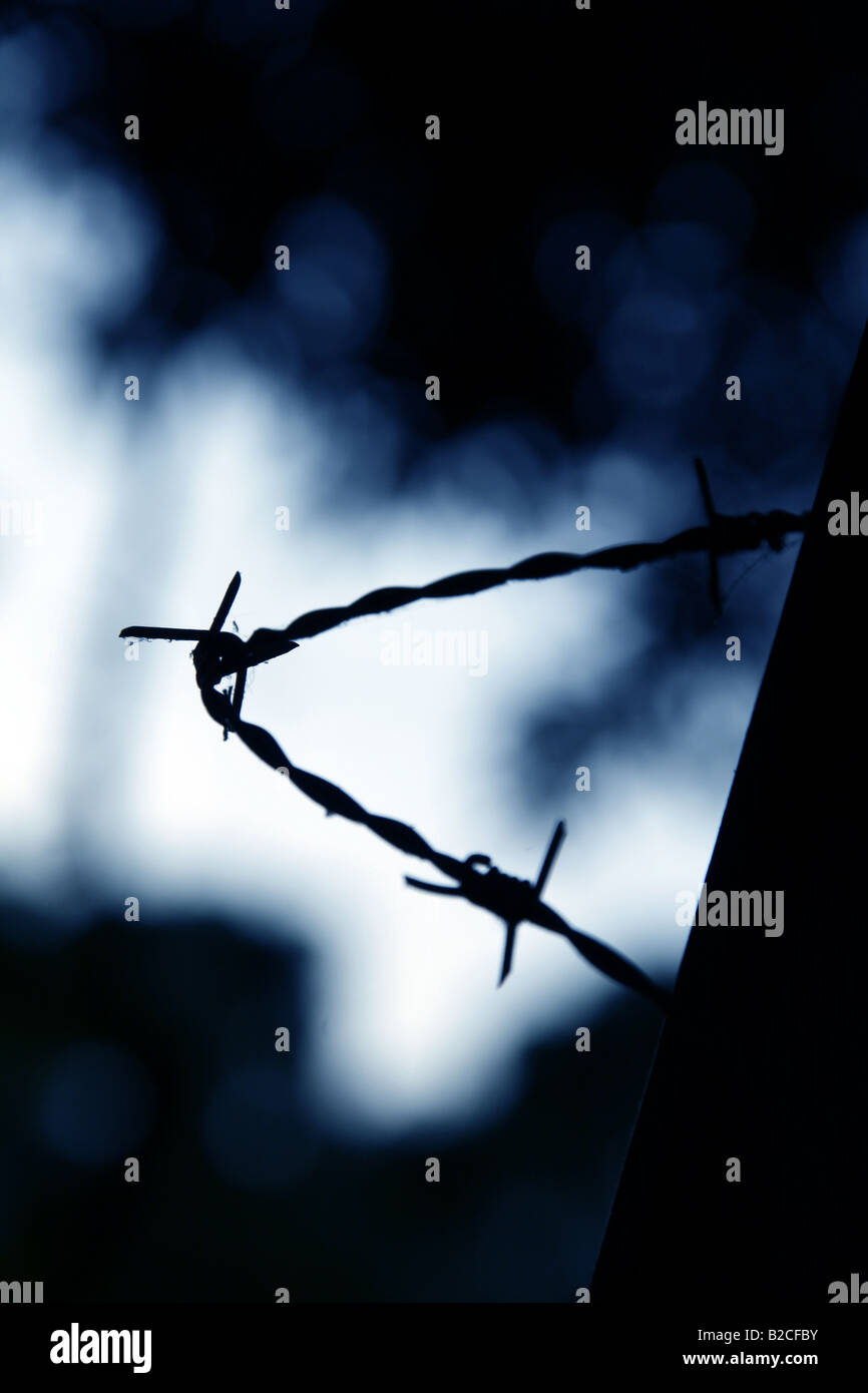 close up of barbed wire fence in country at night Stock Photo - Alamy