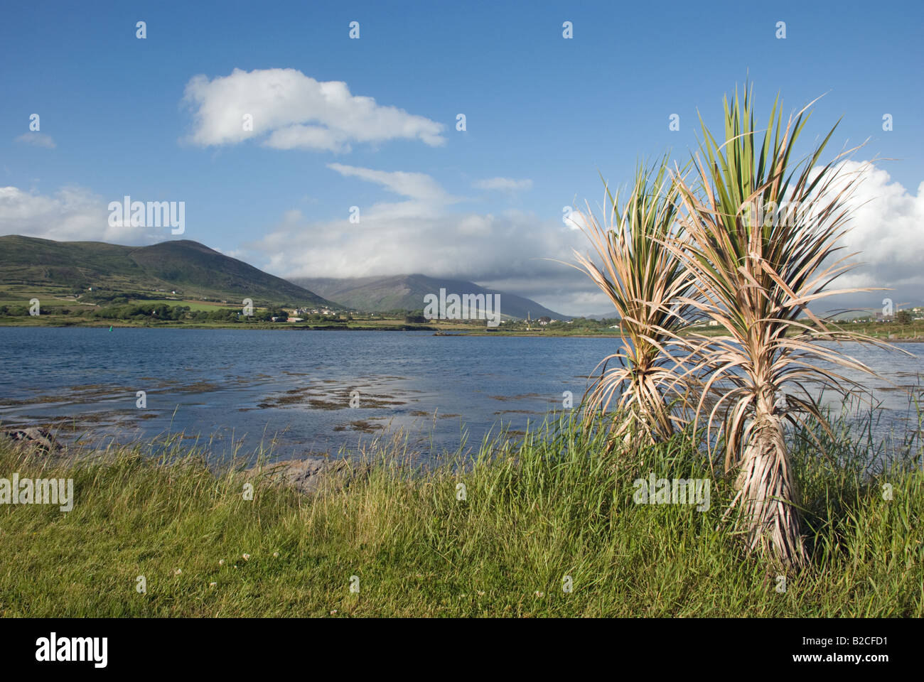 Mannix Point, Cahirciveen, Co Kerry, Ireland Stock Photo - Alamy