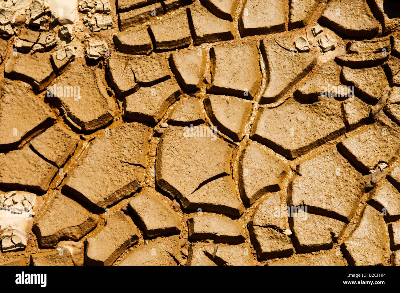 Dried soil cracking under the scorching sun Stock Photo - Alamy