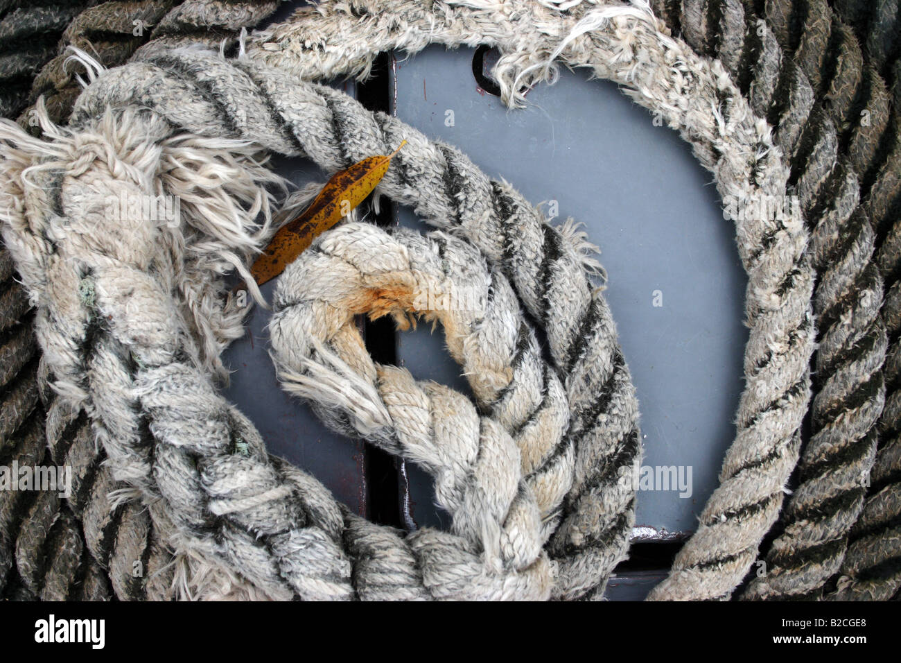 Boat ropes detail 4 Stock Photo - Alamy