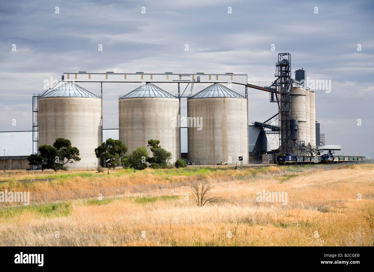 Wheat farm west australia hi-res stock photography and images - Alamy