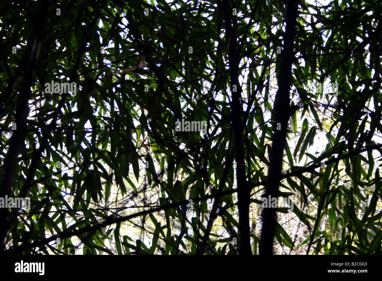 Details 2 hi-res stock photography and images - Alamy