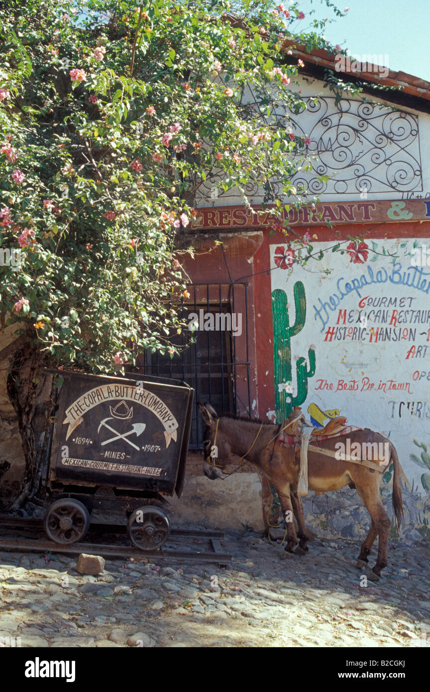 Mexican burro and old mining cart outside the Copala Butter Company ...