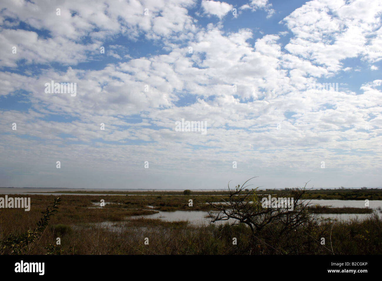 Martin garcia island hi-res stock photography and images - Alamy