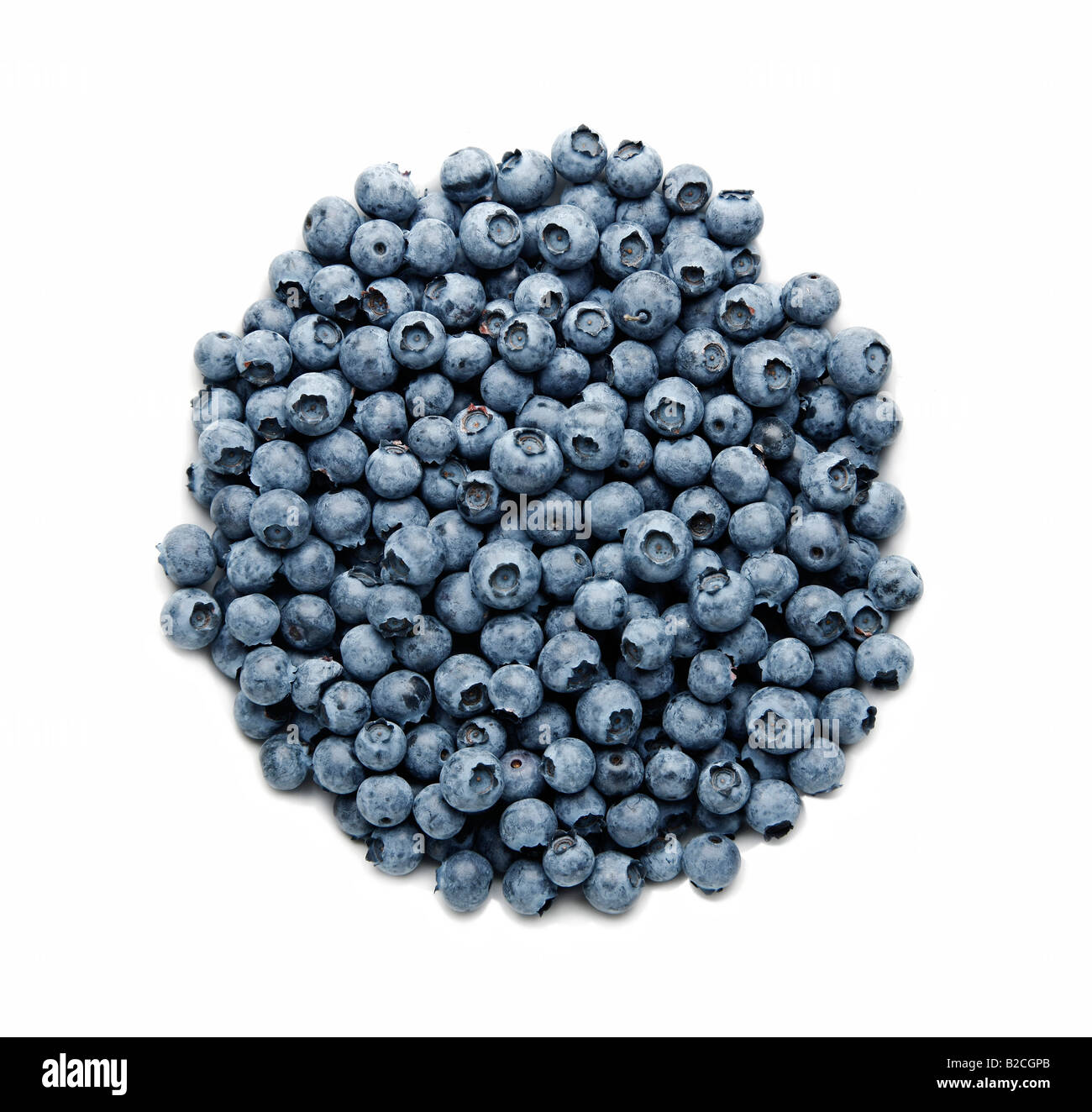 Pile of delicious blueberries isolated on white background large XXL ...