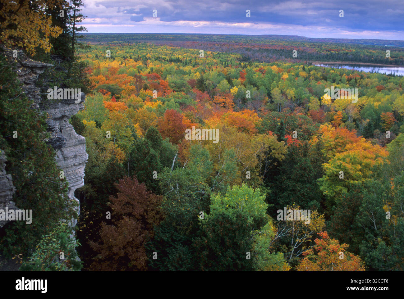 Overview of autumn forests from Cup and Saucer Trail, part of the ...