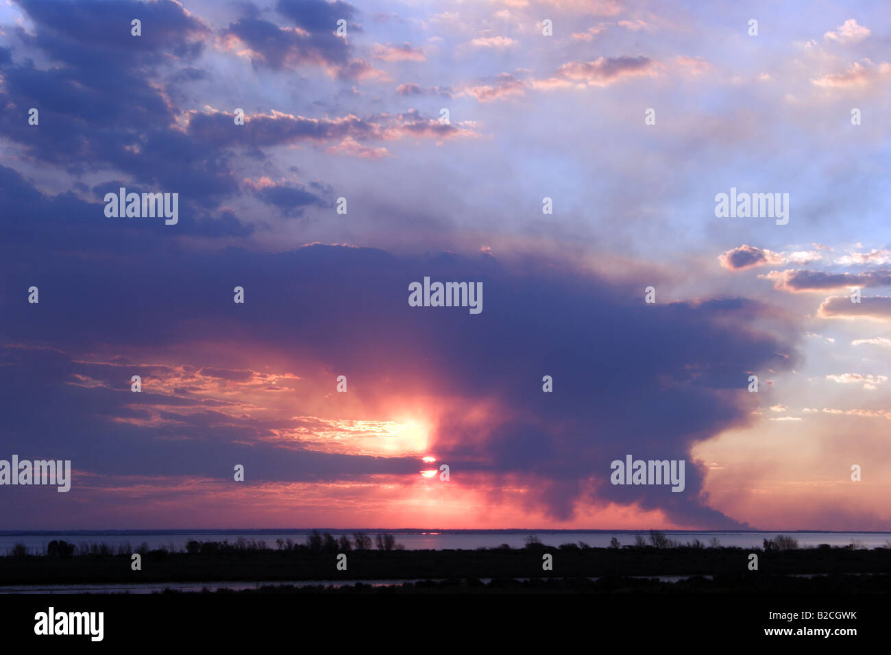 Delta wetlands hi-res stock photography and images - Alamy