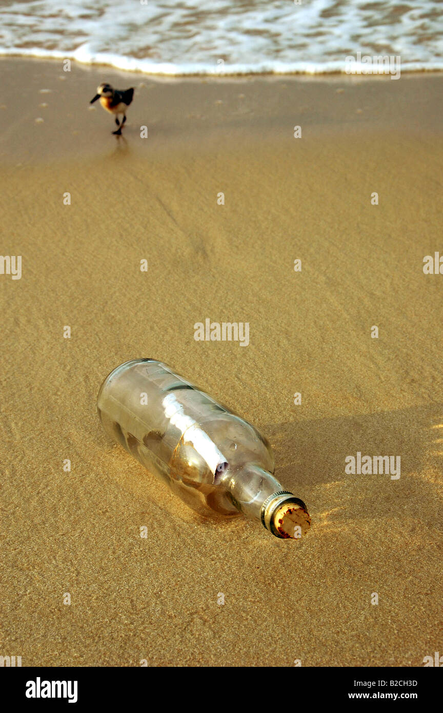 Message in a bottle and seabird at sunset Stock Photo - Alamy