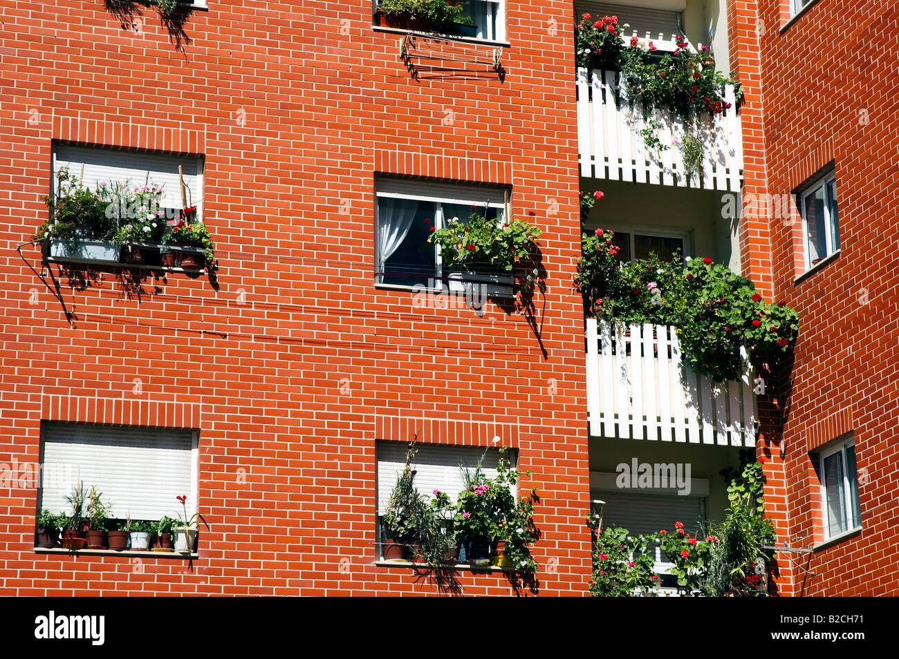 Apartment block with geraniums Stock Photo - Alamy