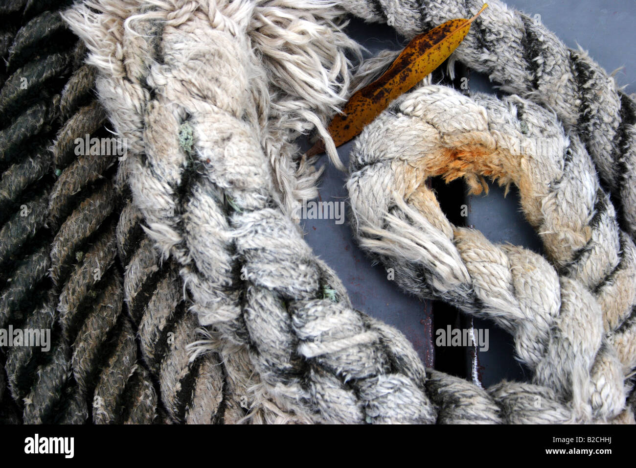 Boat ropes detail 4 Stock Photo - Alamy