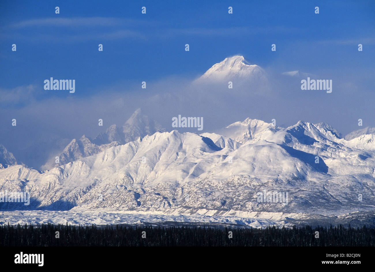 Mt. McKinley from Denali State Park, Alaska Stock Photo - Alamy