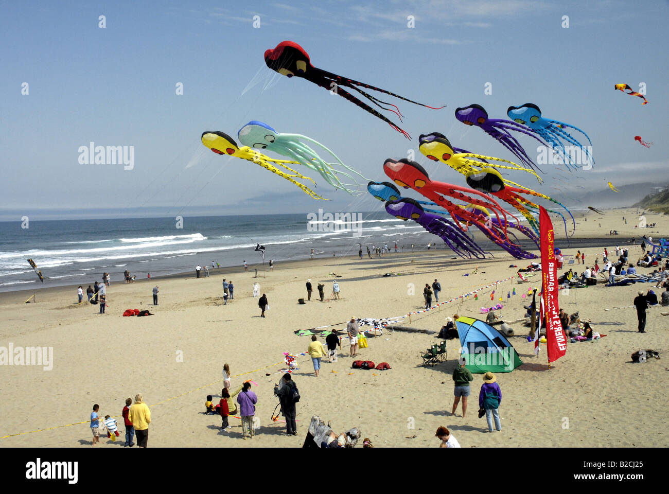 kite flying on the beach Stock Photo - Alamy