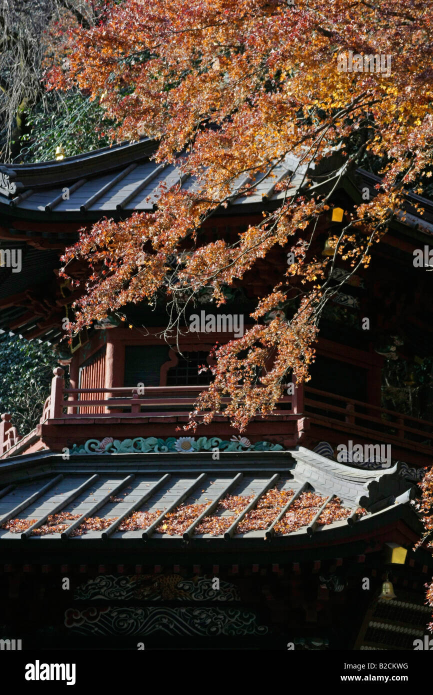 Autumn leaf color at Mizusawadera temple Gunma Japan Stock Photo - Alamy