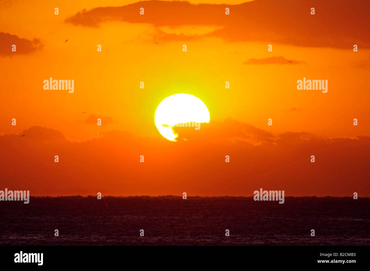 The Sunset over the Tokyo Bay Japan Stock Photo - Alamy
