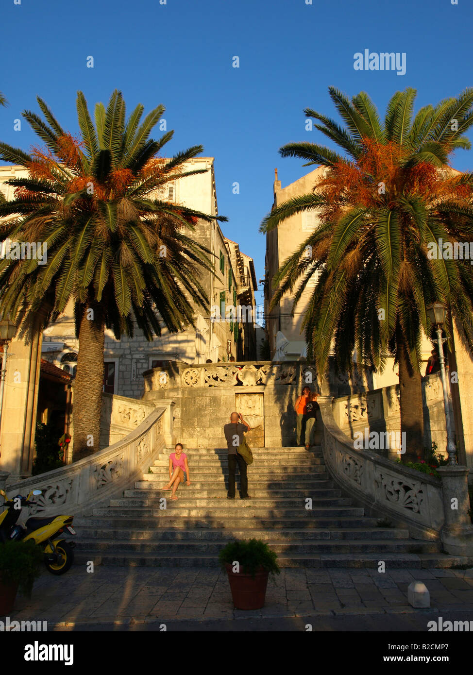 Korcula, palm trees Stock Photo - Alamy