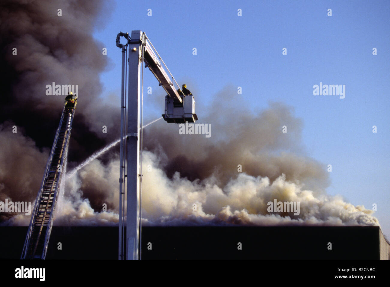 Plant candy hi-res stock photography and images - Alamy