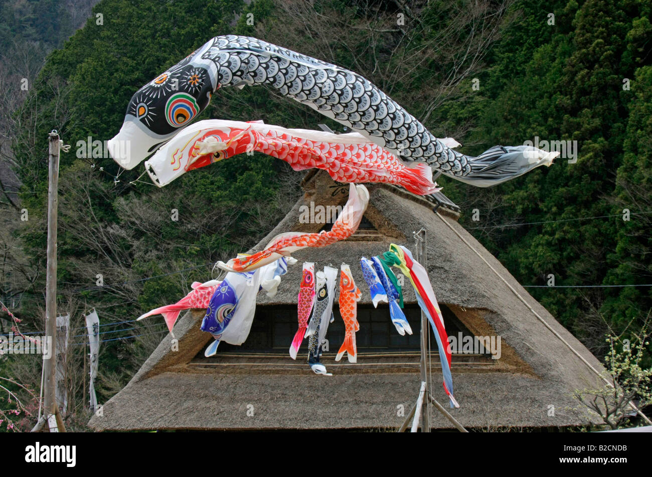 Traditional japanese carp hi-res stock photography and images - Alamy