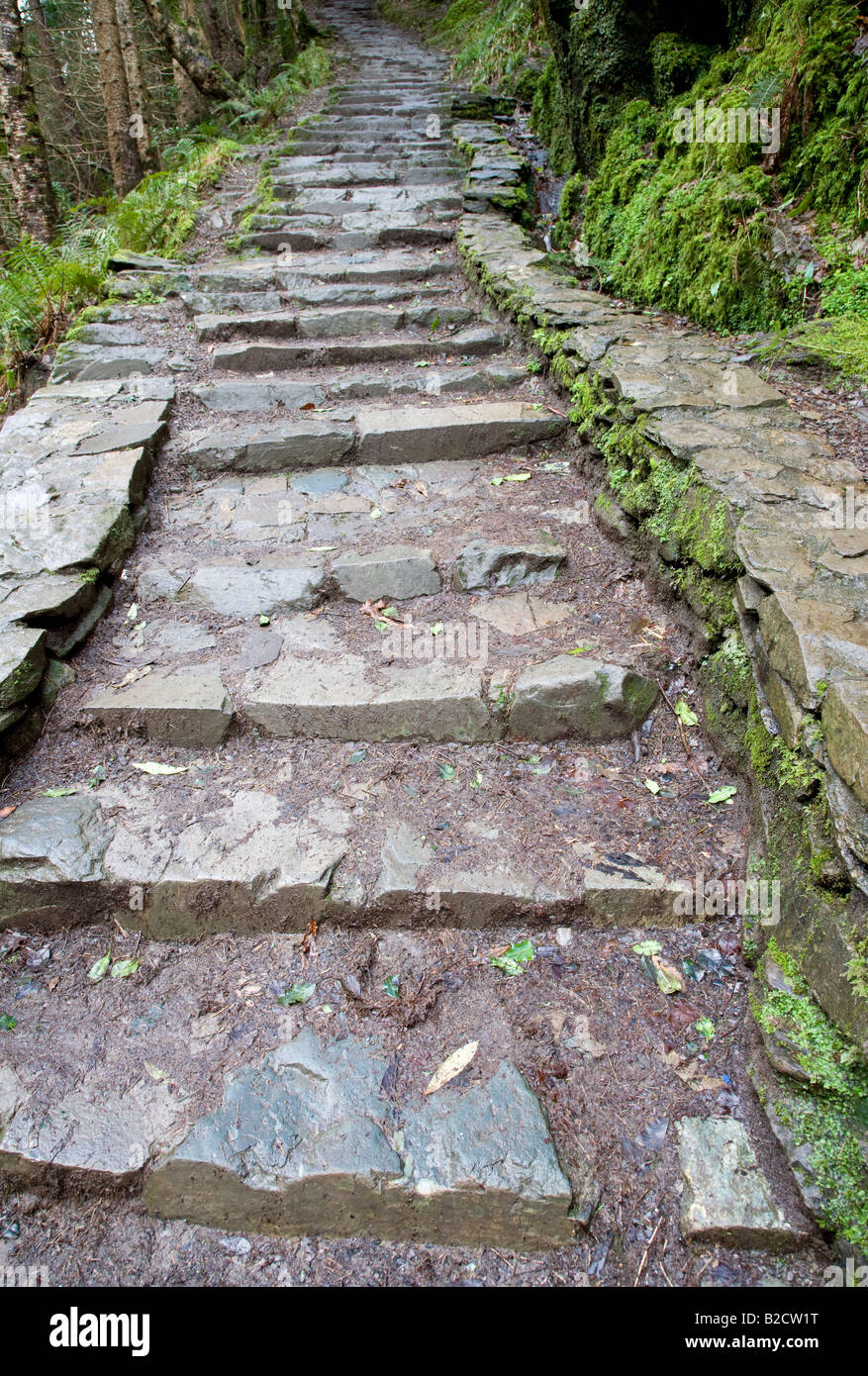 Stone steps, Torc Waterfall, County Kerry, Ireland Stock Photo - Alamy